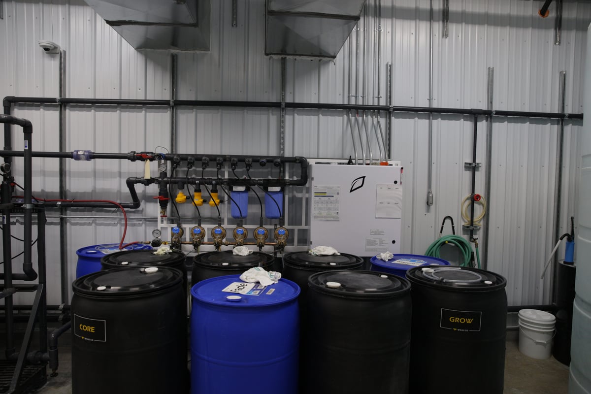 Customer Highlight: Wojo Wax